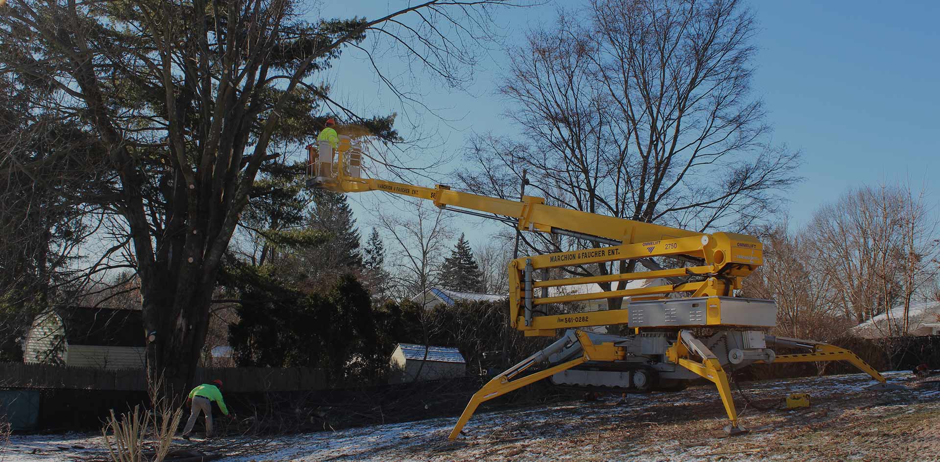 CT Tree Removal & Emergency Tree Service - Marchion & Faucher